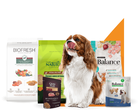 Nossas marcas - BRF Pet